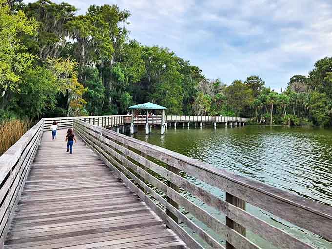 Palm Island Park's wooden boardwalk invites nature lovers to wander through Florida's natural beauty, where wildlife sightings are practically guaranteed.
