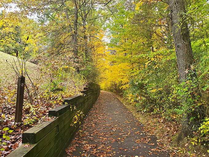 Autumn transforms the pathways into tunnels of gold and crimson, proving that Michigan's fall colors deserve their own fan club.