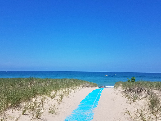A blue pathway cuts through golden dunes, offering an invitation to discover Lake Michigan's refreshing embrace just beyond the grassy horizon.