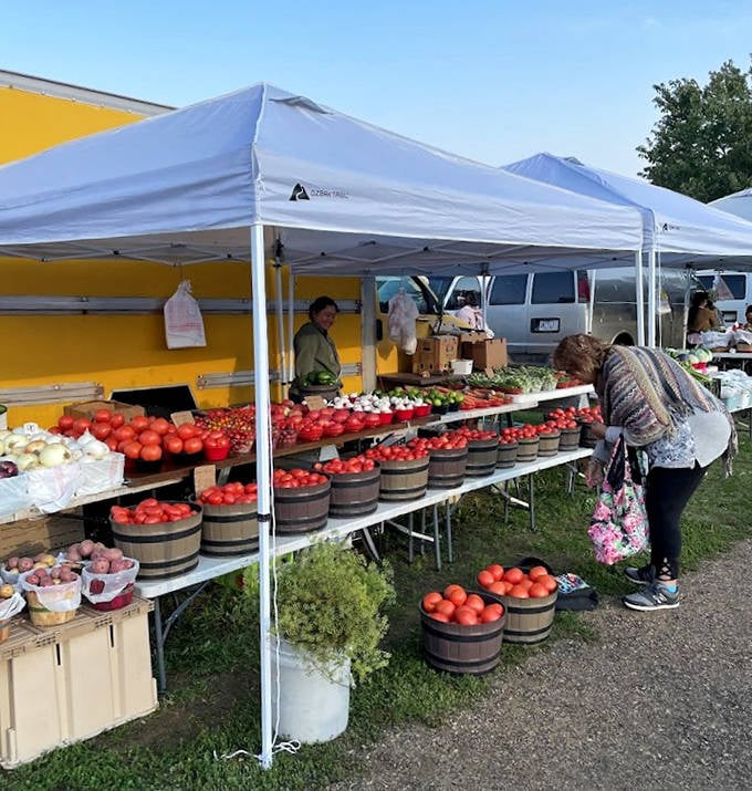 Farm-fresh flavor festival: Sun-ripened tomatoes and garden vegetables create a rainbow of nutritional goodness, picked that morning and still warm from the field.