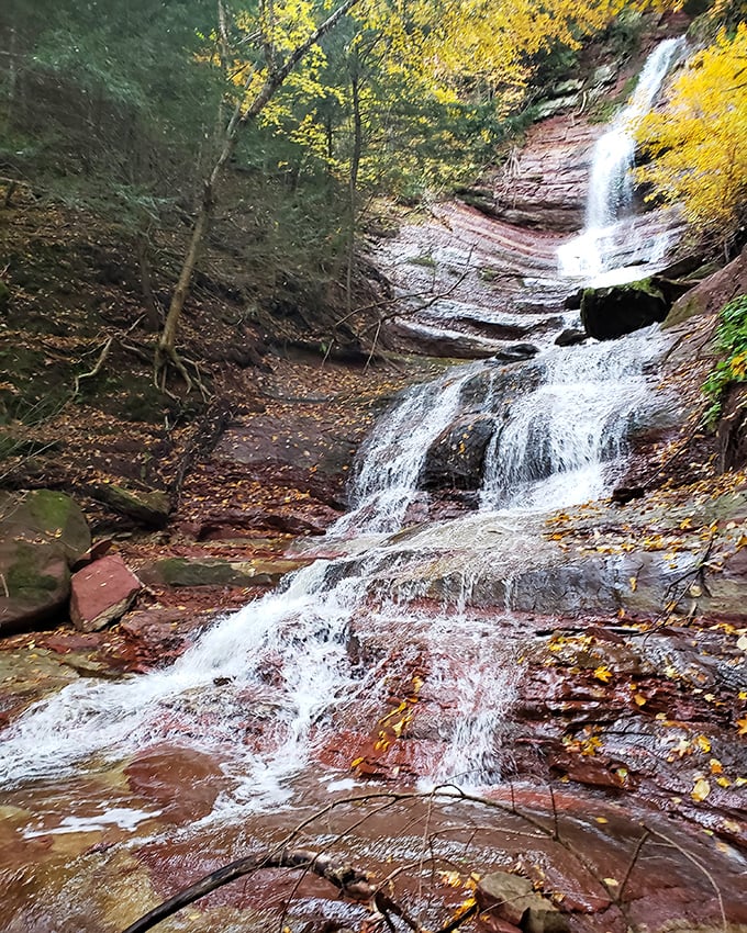 The relentless rush of water sculpts stone with patient persistence, creating a symphony for the eyes and ears alike.