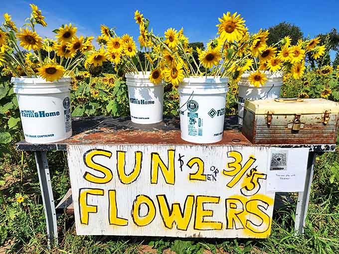 Homemade signs and honor-system buckets remind us of simpler times, when transactions were based on trust rather than technology.