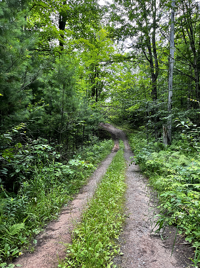 The hiking path to adventure, where every step brings you closer to that unmistakable sound of rushing water calling your name.