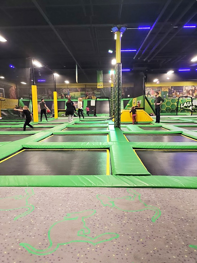 Strangers become instant friends on the trampoline courts, united by the universal language of "watch this trick I haven't done since middle school!"