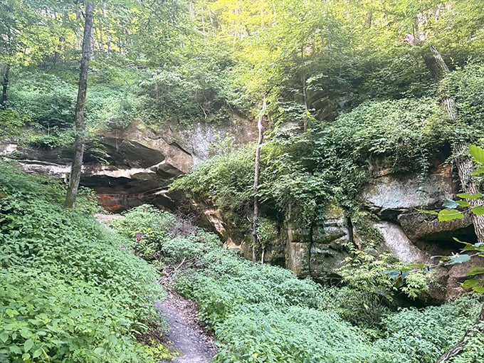 Follow the path less traveled: Each bend in the trail holds the promise of another breathtaking discovery waiting to be found.