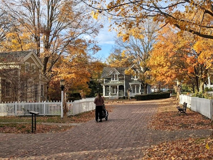 Autumn transforms the village walkway into a golden carpet, where every step crunches with satisfying nostalgia that Instagram filters desperately try to replicate.