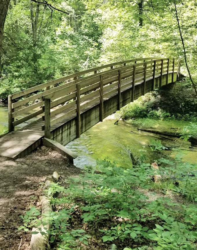 This humble wooden footbridge doesn't just span a creek &ndash; it connects modern life to wilderness simplicity with every creaking step.