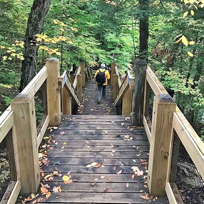 Stairway to Heaven isn't just a Led Zeppelin classic – it's this wooden pathway leading adventurers through Michigan's wilderness.