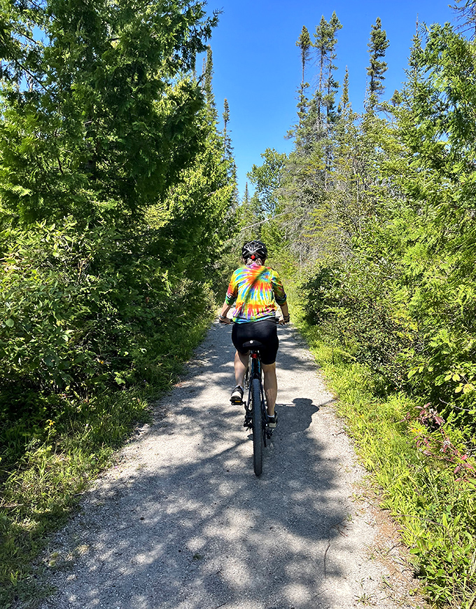 Cycling through corridors of green &ndash; the park's bike trails offer an exhilarating way to cover more ground while still connecting with nature.