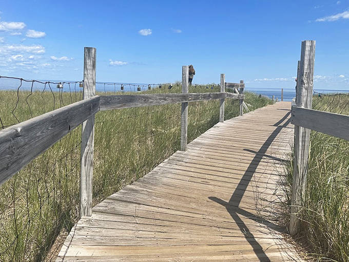 Weathered wooden boardwalks guide visitors through delicate dune ecosystems while protecting the natural landscape beneath.