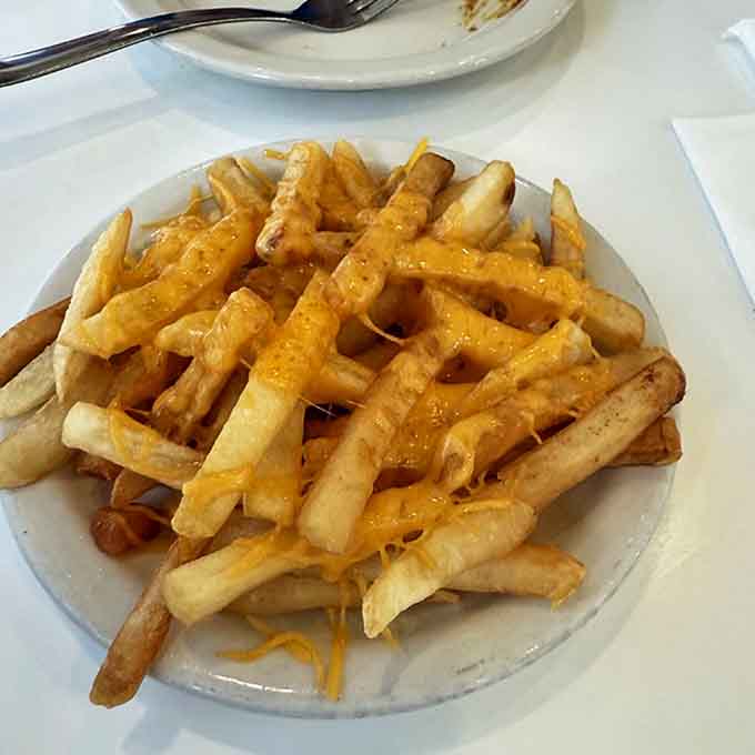 Golden, crispy fries that could stand alone as a masterpiece, but why stop there when cheese can transform them into something transcendent?