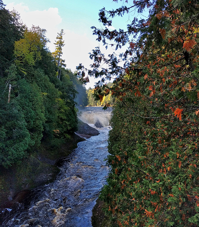 The falls reveal their dramatic profile in this side view, where water has carved channels through billion-year-old volcanic rock.