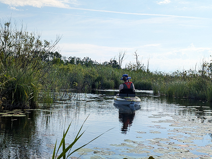 Serenity afloat: A lone kayaker glides through marsh grasses, discovering hidden waterways that reveal the park's secrets from a duck's-eye view.