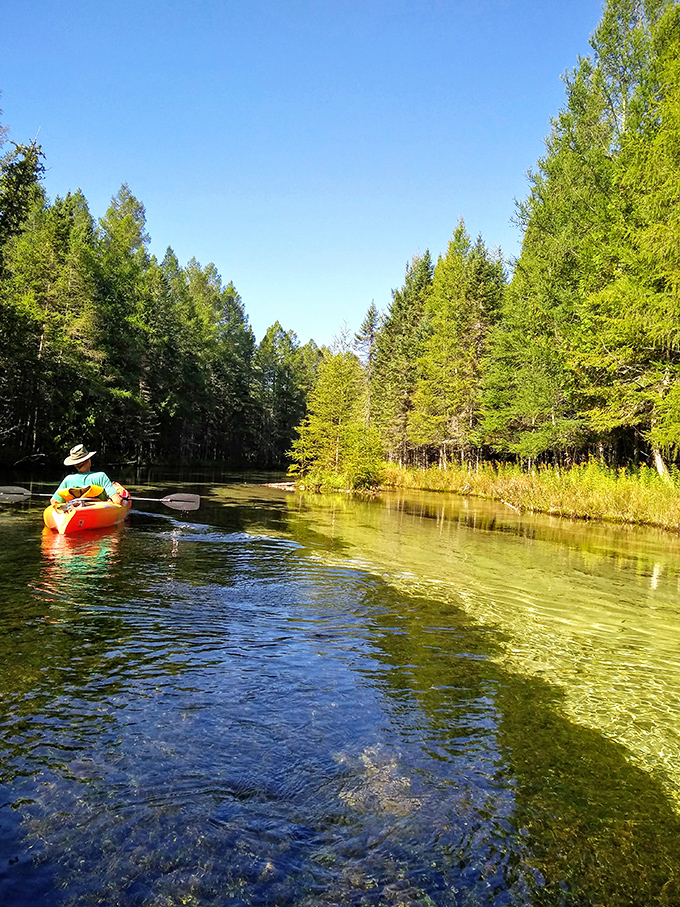 Kayaking through waters so clear you'll spend more time looking down than forward. Watch out for that tree!
