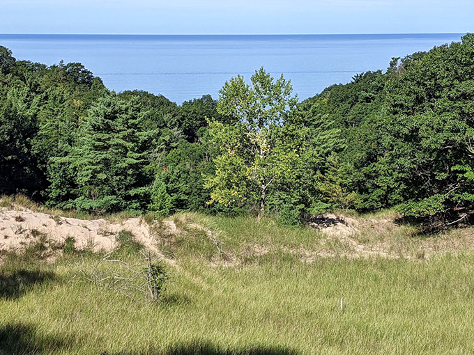 Where forest meets meadow meets lake view &ndash; Mother Nature's version of the perfect open-concept floor plan.