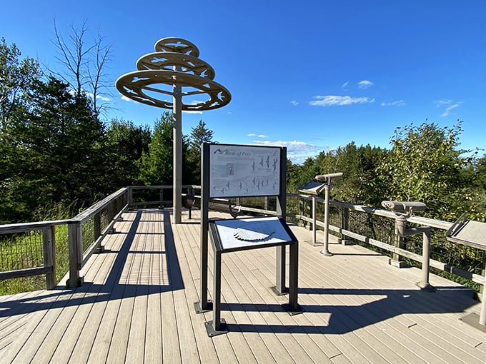 The observation deck provides panoramic views of Port Crescent's diverse ecosystem, where birds of prey circle above unsuspecting hikers.