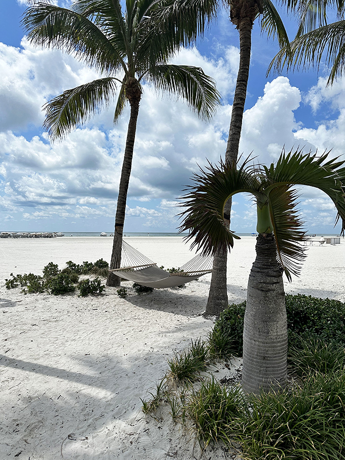 Palm trees frame a hammock that's practically begging for someone with a good book and nowhere important to be.