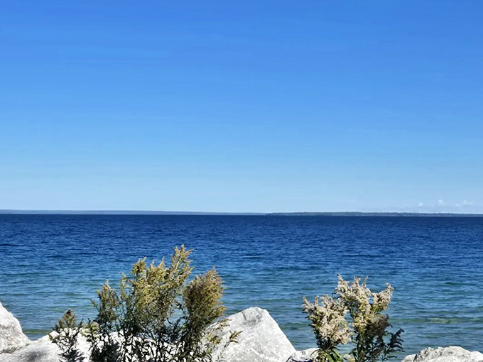 The kind of view that makes you stop pedaling mid-stroke &ndash; where forest-covered bluffs meet crystal waters in perfect Michigan harmony.