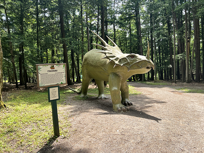 The stegosaurus stands frozen in mid-stride, its plates resembling pizza slices arranged by a prehistoric party planner.