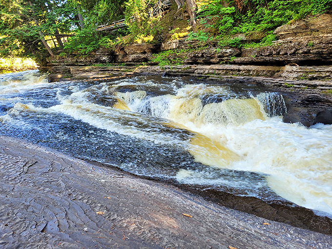 Amber waters rush with purpose, stained by forest tannins into what looks like the world's largest cup of freshly brewed tea.
