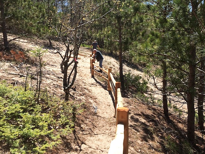 Sun-drenched dunes create a golden pathway to the water's edge, where the lake stretches endlessly toward the horizon.