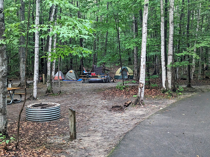 Forest camping that feels worlds away from civilization, yet close enough to hear Lake Michigan's waves lulling you to sleep.