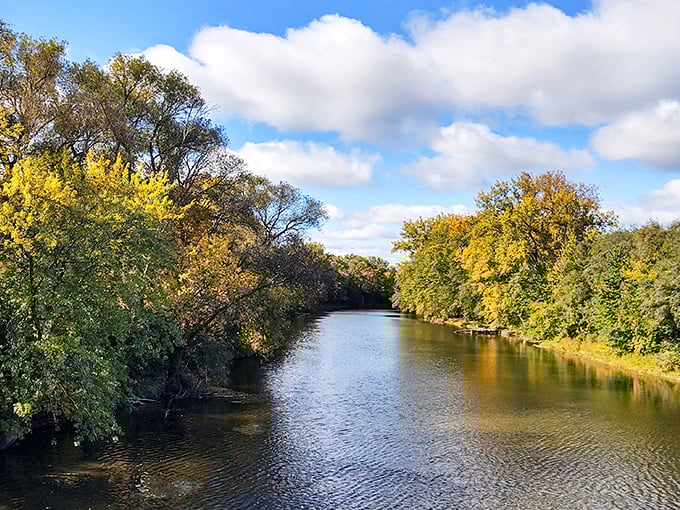 Autumn transforms the riverbanks into a golden gallery, where trees dressed in their fall finest stand sentinel along the peaceful waterway.