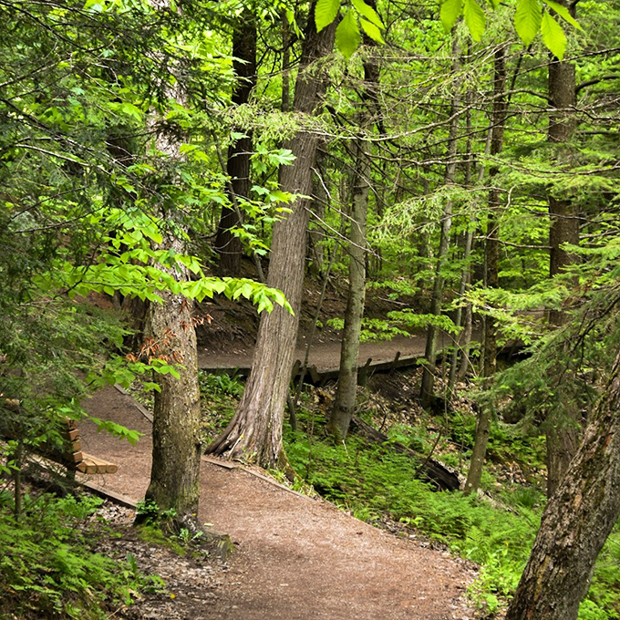 The well-maintained trail winds through towering pines and hardwoods, building anticipation with each curve and bend.