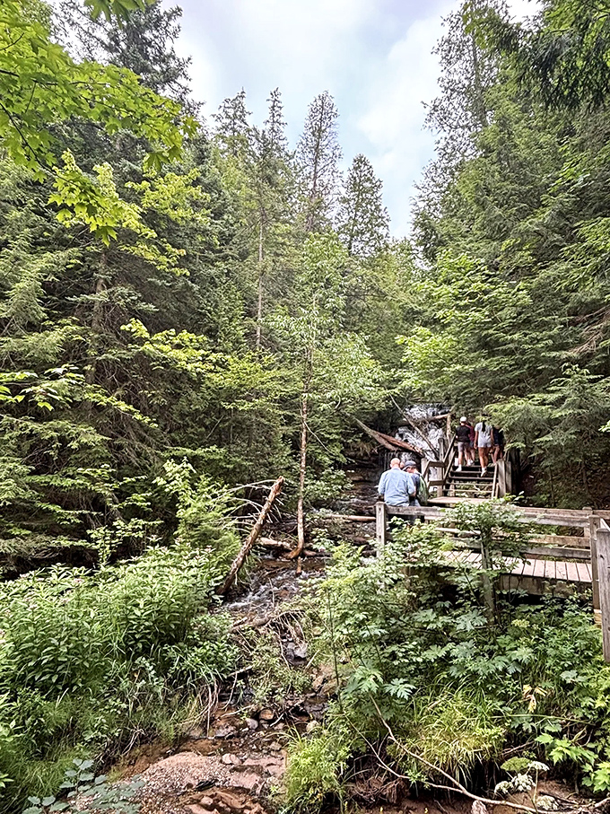 The viewing platform offers front-row seats to nature's greatest show, no ticket required except your willingness to be amazed.