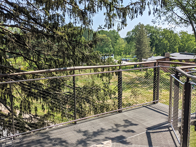 From this vantage point, visitors can appreciate the rolling landscape that makes Michigan's natural beauty so distinctive.