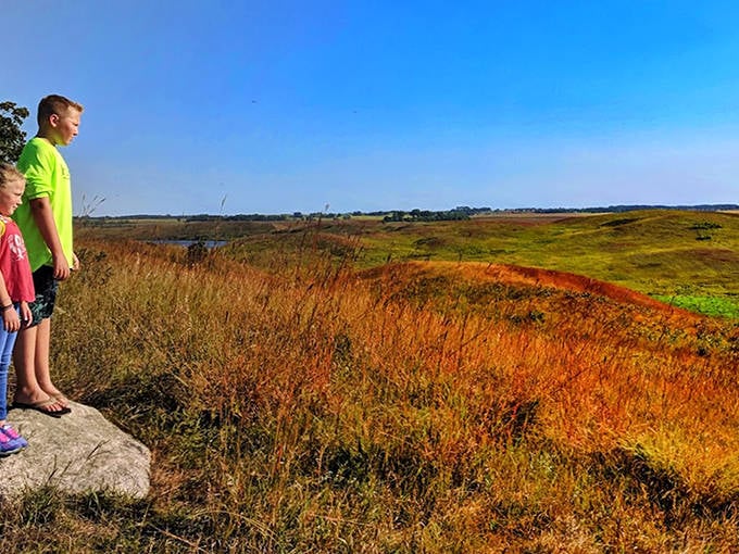Young explorers stand mesmerized by endless horizons, discovering wilderness wonders that no screen could replicate.
