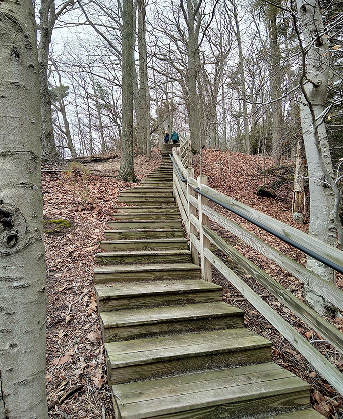 Stairway to heaven? No, just Michigan: These wooden steps through towering trees lead to views worth every bit of the climb.