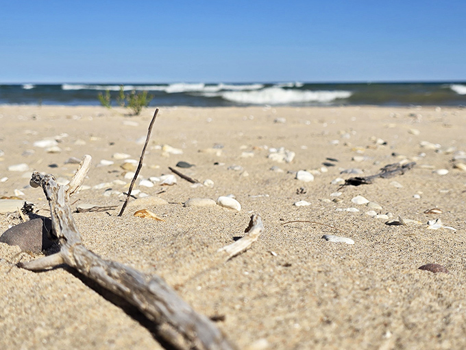 Nature's treasure hunt unfolds on the beach surface, where colorful stones and driftwood create an ever-changing mosaic for beachcombers.