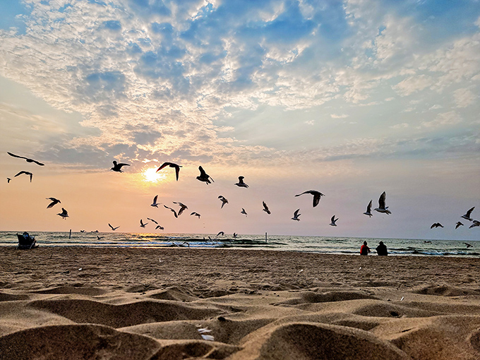 Sunset brings the daily bird ballet &ndash; nature's own farewell performance that somehow never gets old, no matter how many encores.