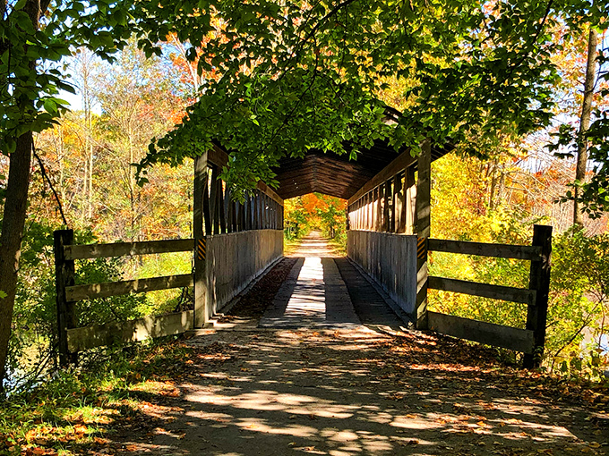 The Black River Bridge stands as a testament to craftsmanship, its weathered beams having witnessed countless journeys across the water below.