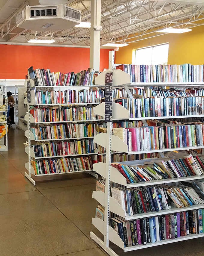 Bookworms lose themselves among shelves packed with literary treasures, where yesterday's bestsellers await discovery for just a fraction of their original price.