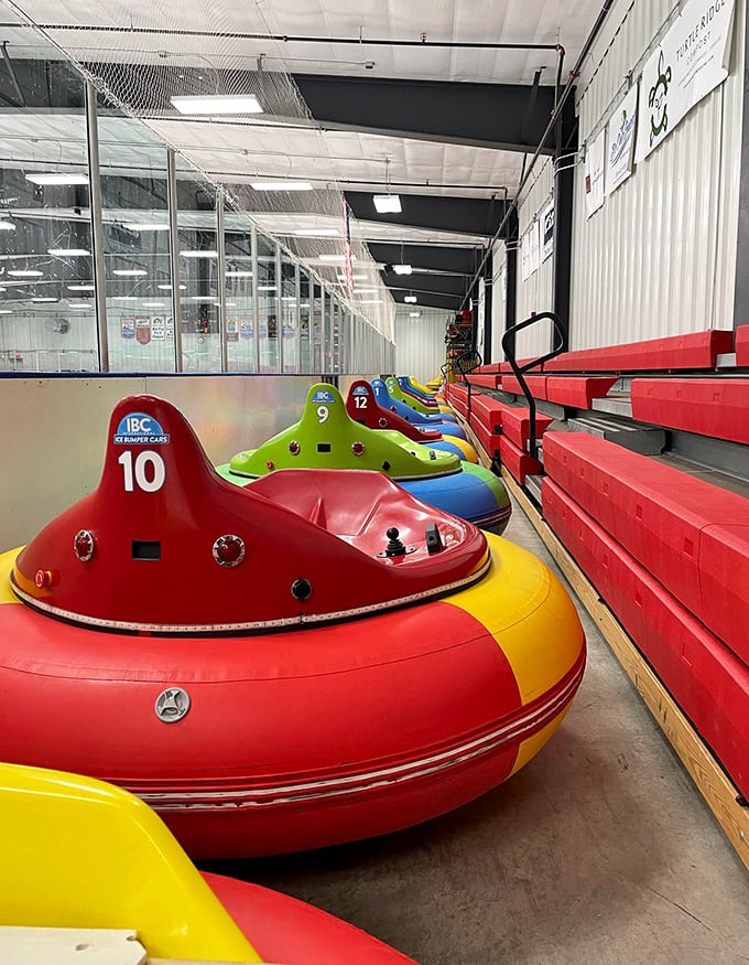 Ice bumper cars lined up along the boards, their multicolored exteriors promising an experience unlike traditional skating.