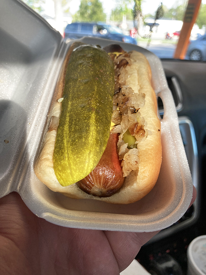 The Chicago dog in all its glory, sporting that telltale neon-green relish and pickle spear, a Windy City classic served with Michigan hospitality.
