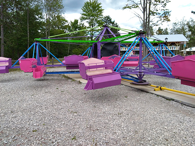 These colorful swings deliver the perfect balance of thrill and chill &ndash; just enough centrifugal force to feel exciting without requiring signed liability waivers.