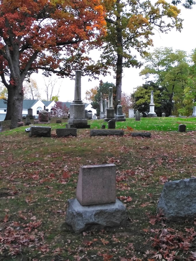 A diverse collection of monuments spans generations of Michigan history, from simple markers to elaborate Victorian tributes.