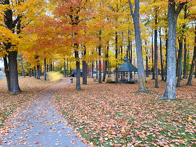 Doumas Park erupts in autumn glory, where Mother Nature shows off her painting skills with a palette of golds and reds.