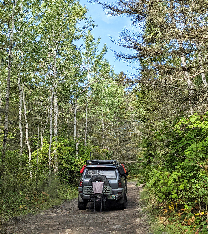 Forest Trail: An SUV navigates the island's famous two-track trails, where adventure awaits around every bend and cell service conveniently disappears.