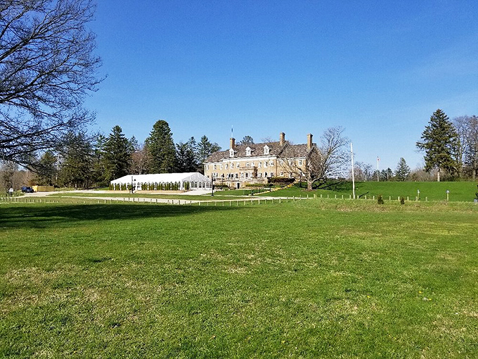 The historic Felt Estate stands proudly against blue skies, a 1920s mansion that's seen nearly a century of Michigan's changing seasons.