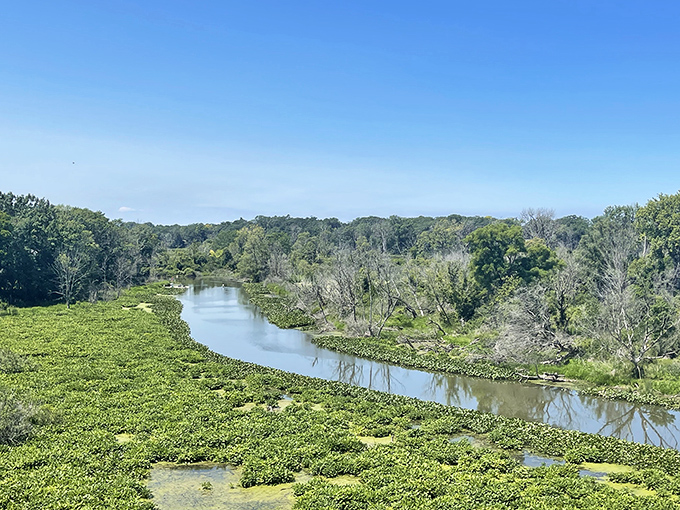 Galien River County Park's wetlands create a serene ecosystem where nature puts on a show that rivals anything on your streaming services.