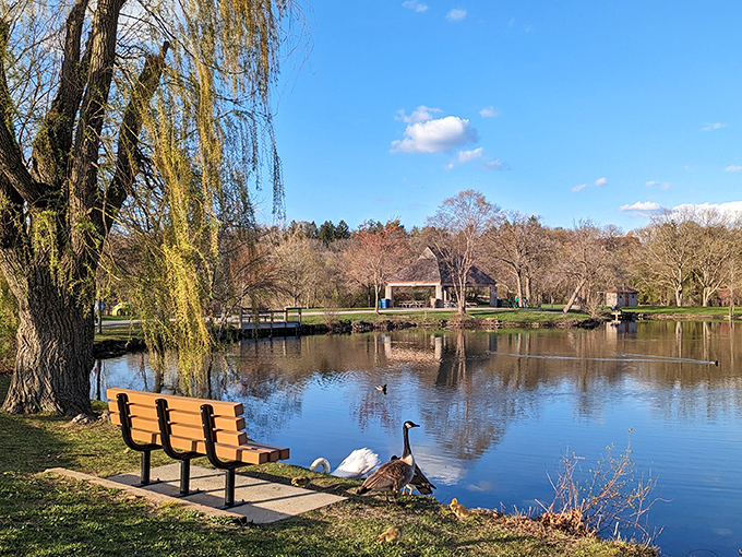 Gallup Park's serene waters reflect Michigan's big sky, offering a peaceful retreat where ducks have right-of-way and stress dissolves faster than ice cream on a summer day.