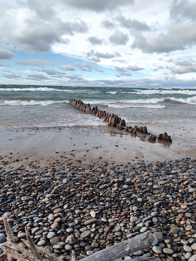 Ancient wooden groyne remnants march into Lake Superior like the spine of some prehistoric creature, guarding the shoreline from erosion.