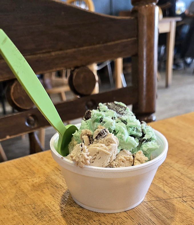 Ice cream in the Upper Peninsula: delightfully rebellious, perfectly portioned, and proof that frozen treats taste better when surrounded by books.
