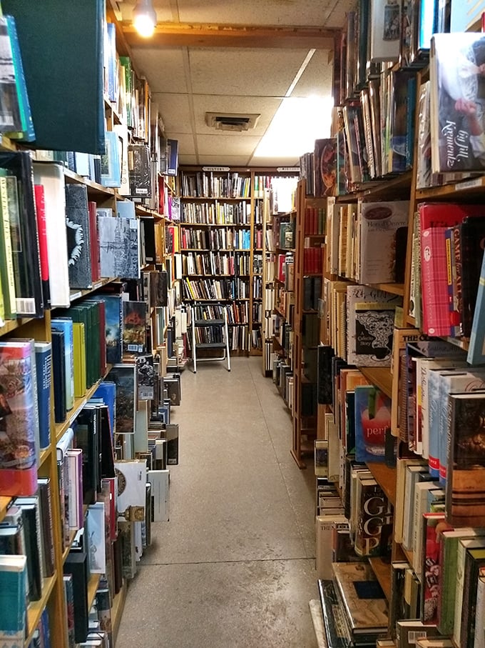 The light at the end of this literary tunnel isn't an exit sign—it's just another room of books waiting to be explored.