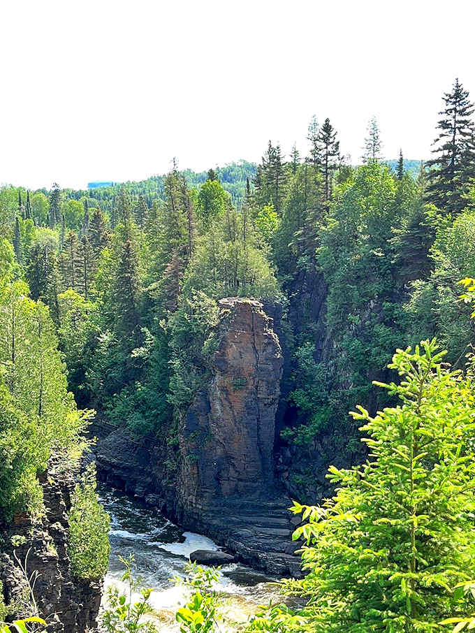 Where wilderness whispers: Towering pines and birch trees create a verdant sanctuary along the trail, offering cool shade and the forest's gentle symphony.