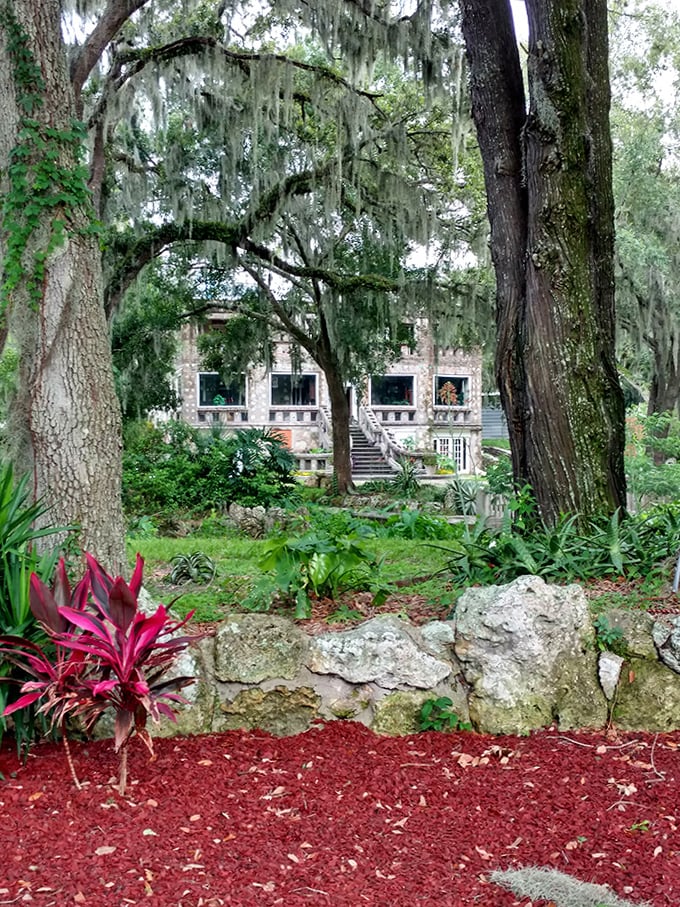 The Wonder House emerges through a curtain of Spanish moss, looking like something from a Southern Gothic novel come to life.